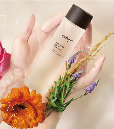 MEALA INTERNATIONAL TAIWAN LTD